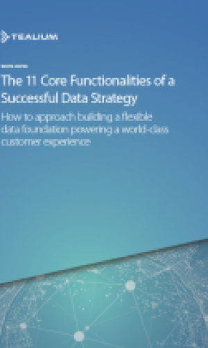 The 11 Core Functionalities of a Successful Data Strategy - DataIQ